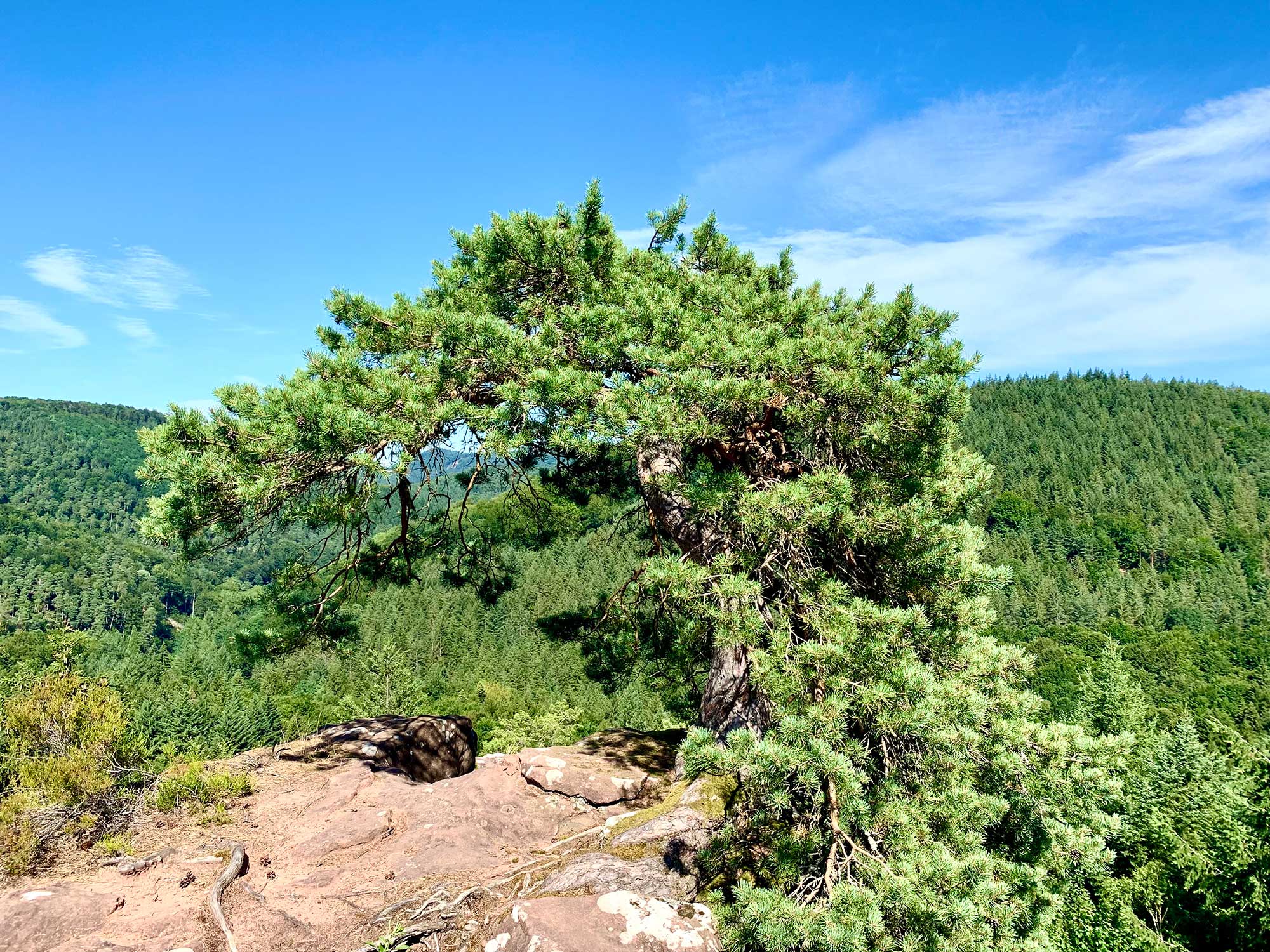 Active & Experience - Ketschauer Hof